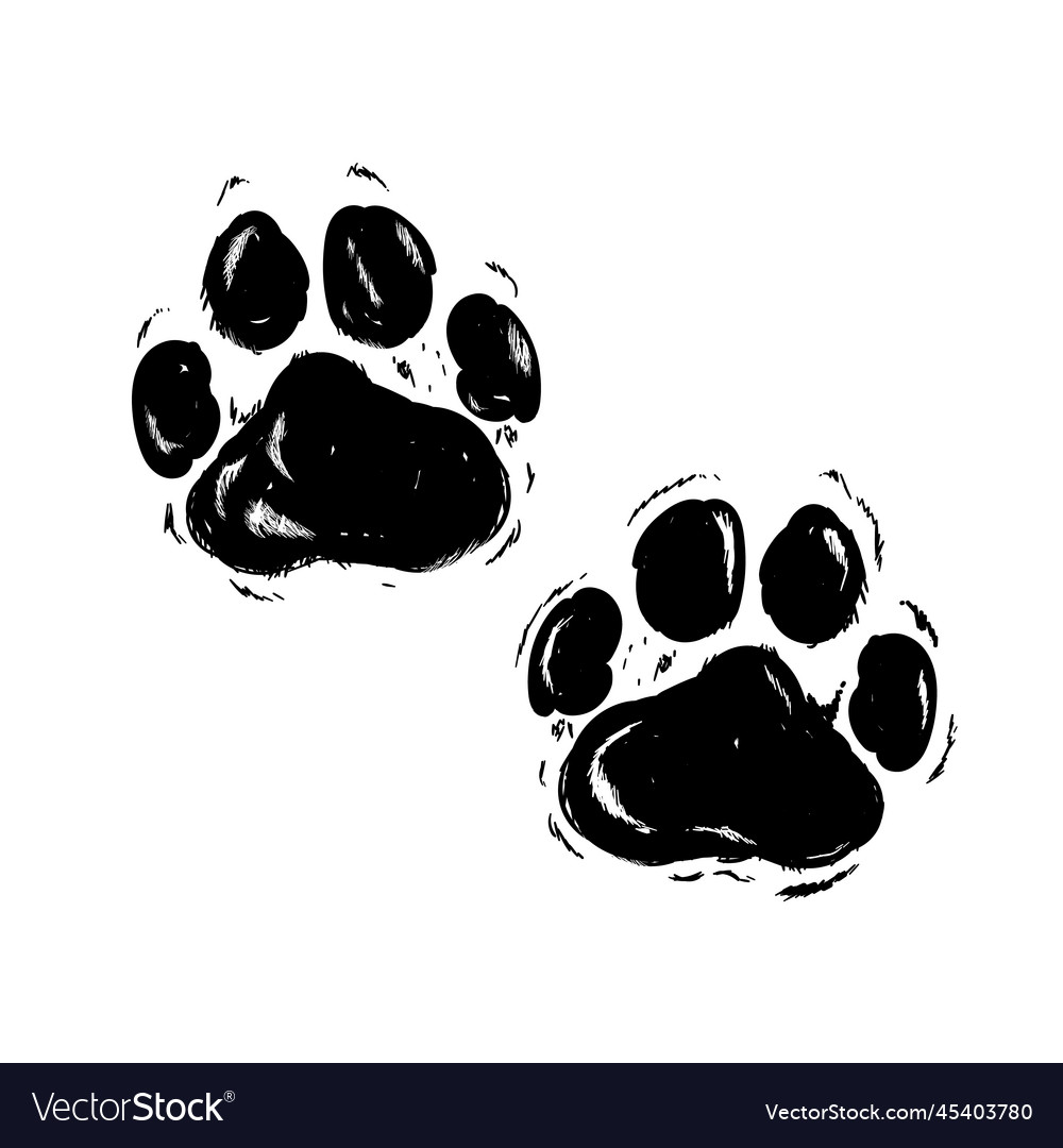 Cat dog animal paw print isolated on white Vector Image