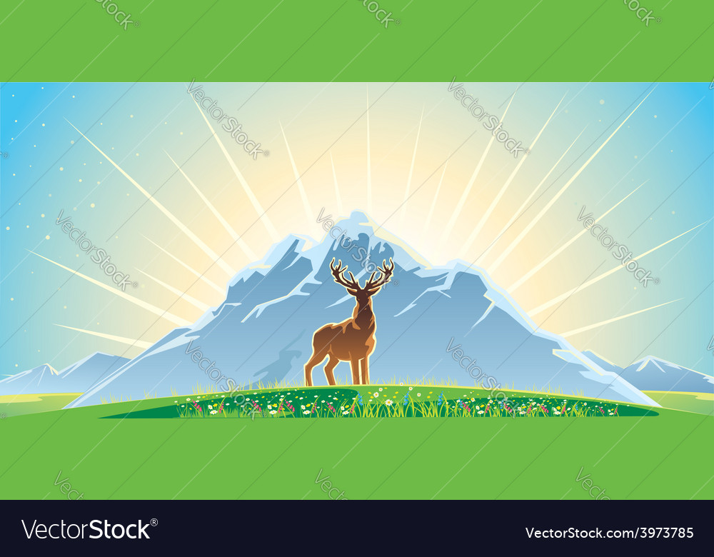 Landscape design Royalty Free Vector Image - VectorStock