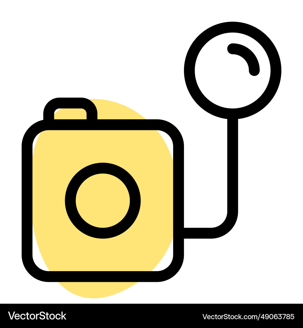 Nostalgic photography experience with vintage Vector Image