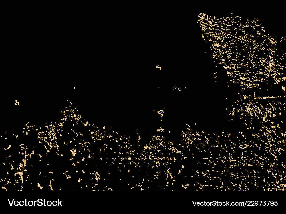 Grunge gold texture isolated on black Royalty Free Vector