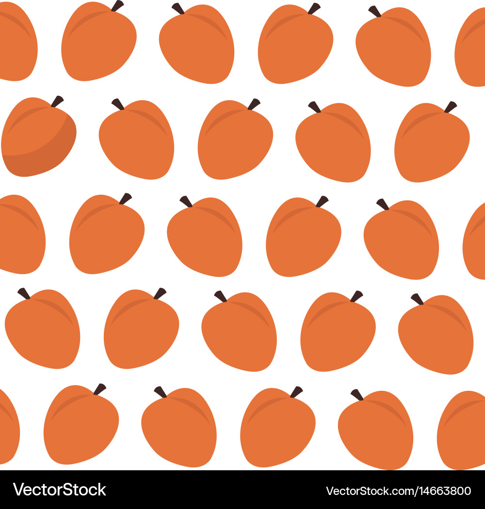 Apricot fruit food fresh seamless pattern image Vector Image