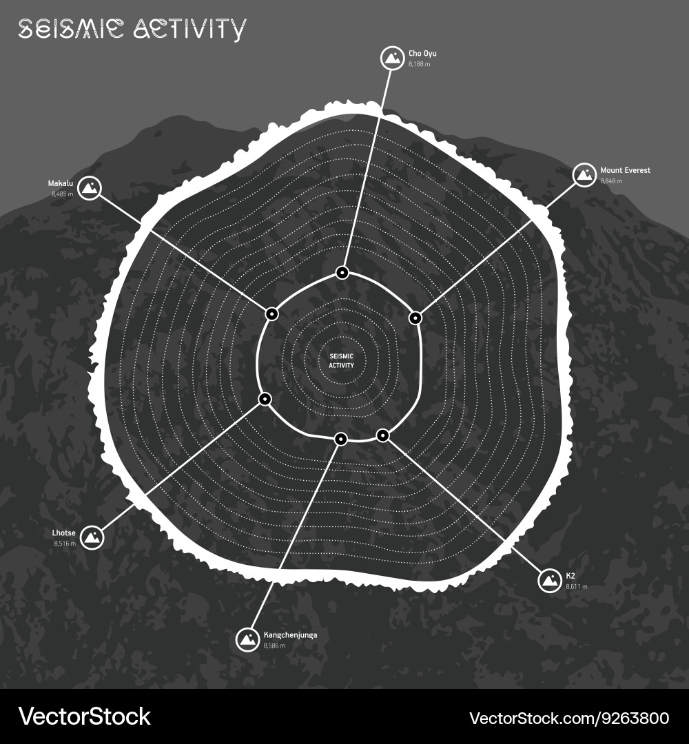 Infographic seismic activity with mountain on Vector Image
