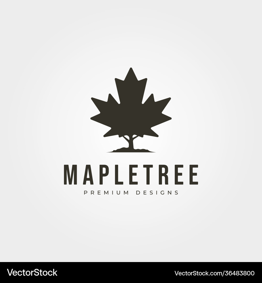 Vintage maple tree icon logo symbol design Vector Image