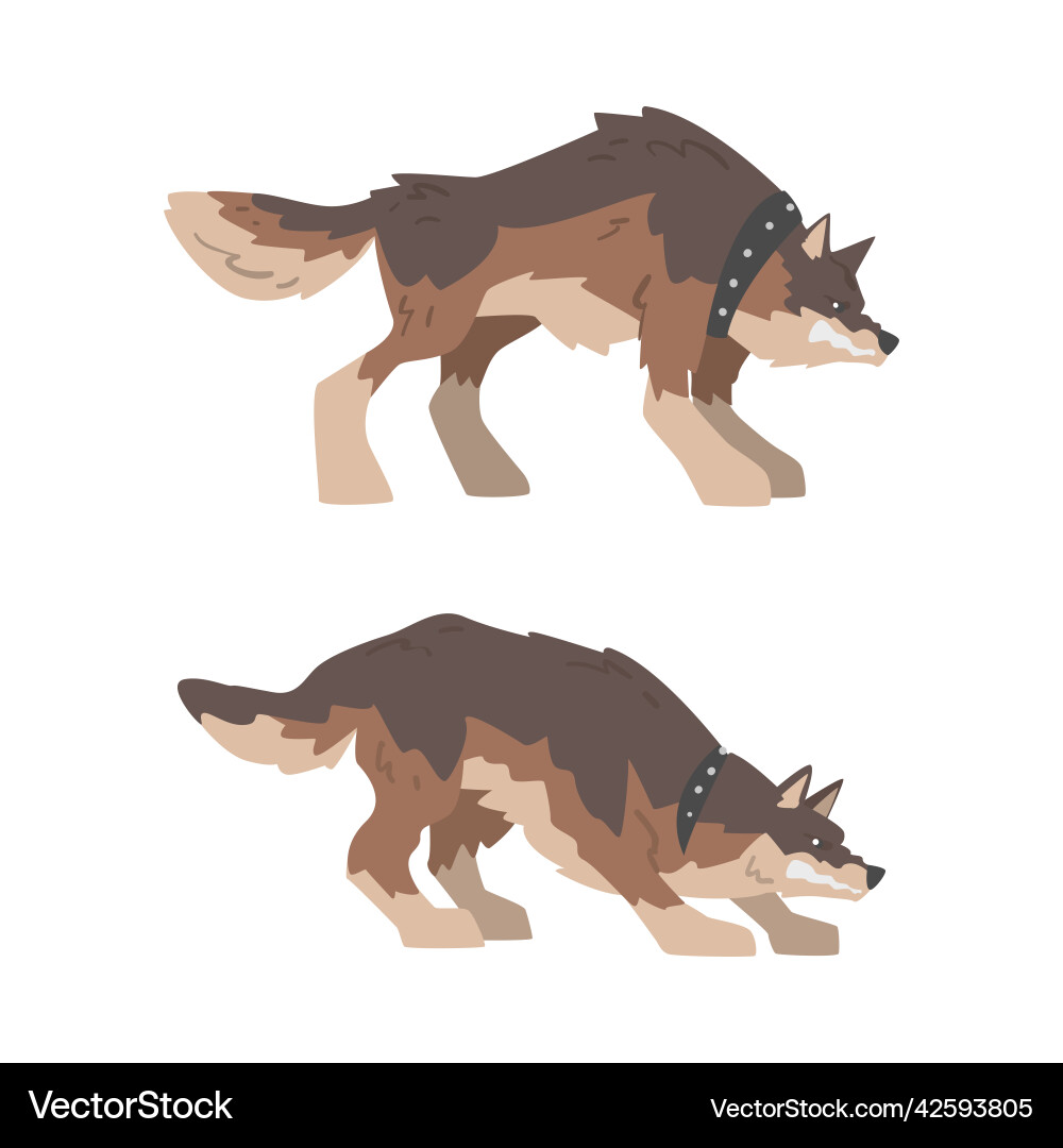 Aggressive large dog in collar baring its teeth Vector Image