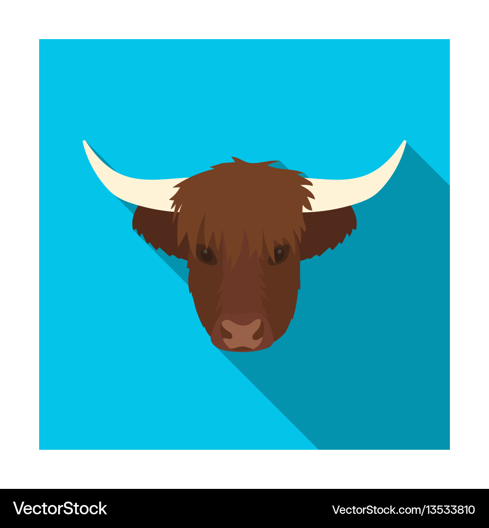 Highland cattle head icon in flat style isolated Vector Image