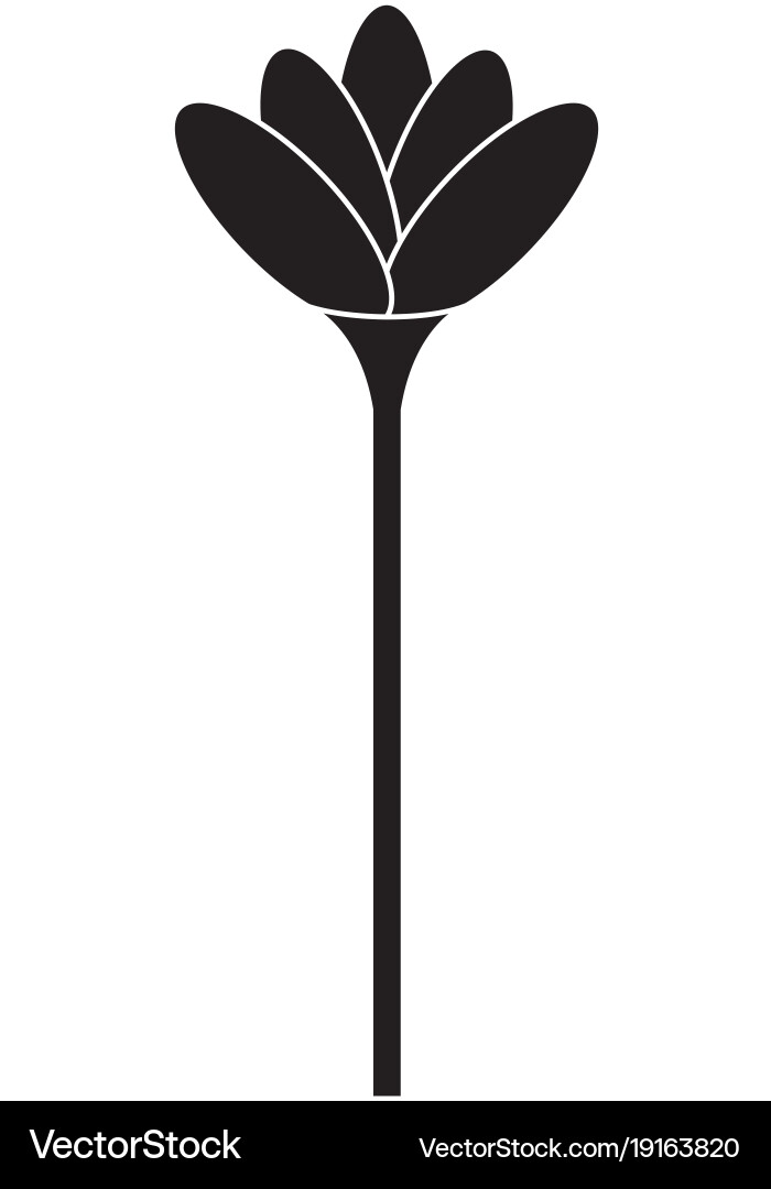 Beautiful flower isolated icon Royalty Free Vector Image