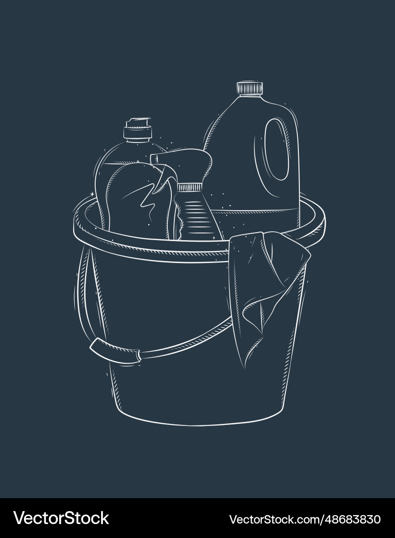 Cleaning supplies tools accessories bucket rag Vector Image