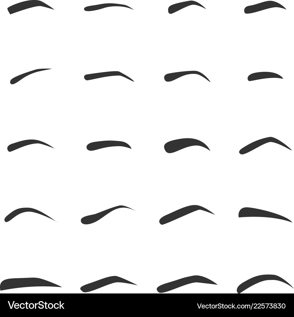 Set of the left femaleeyebrows Royalty Free Vector Image