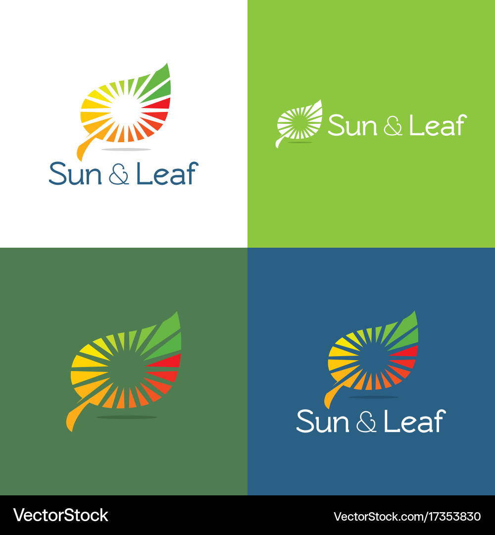 Sun and leaf Royalty Free Vector Image - VectorStock