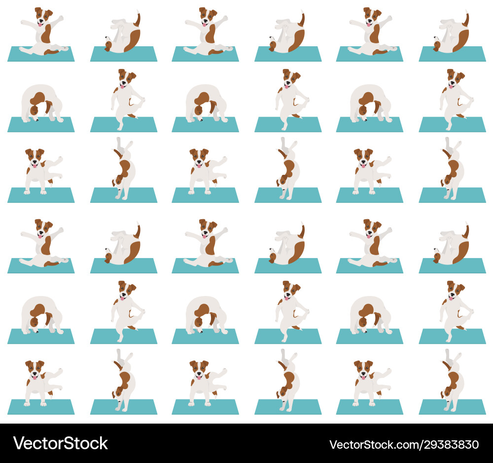 Yoga dogs poses and exercises seamless pattern Vector Image