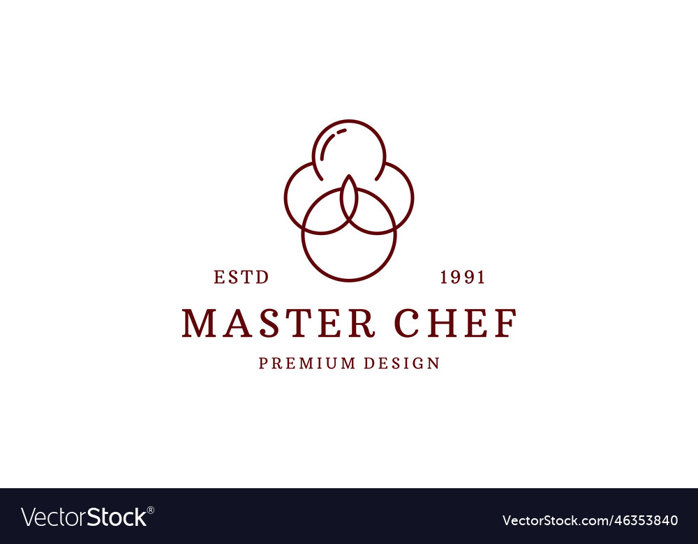 Master chef Royalty Free Vector Image - VectorStock
