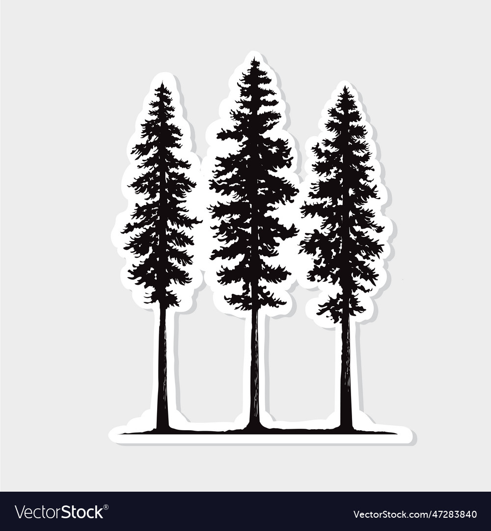 Pine tree sticker Royalty Free Vector Image - VectorStock