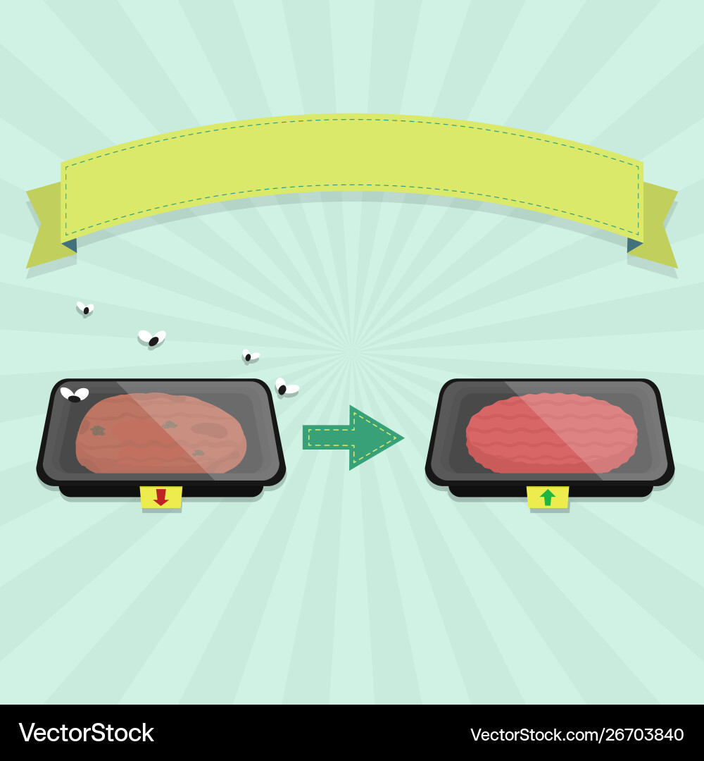 Rotten and fresh burger meat tray Royalty Free Vector Image