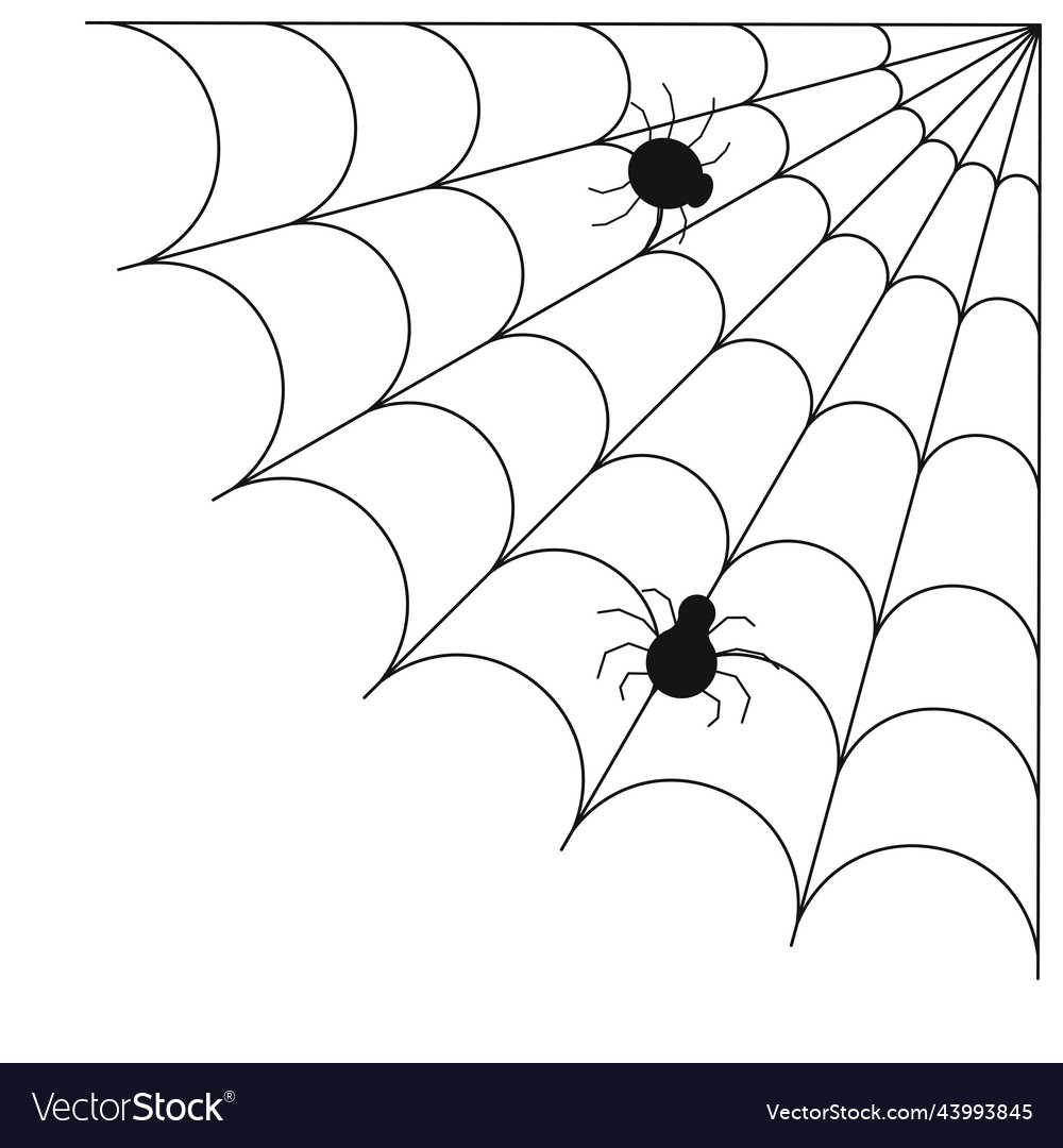 Cobweb and spiders halloween spiderweb spider Vector Image