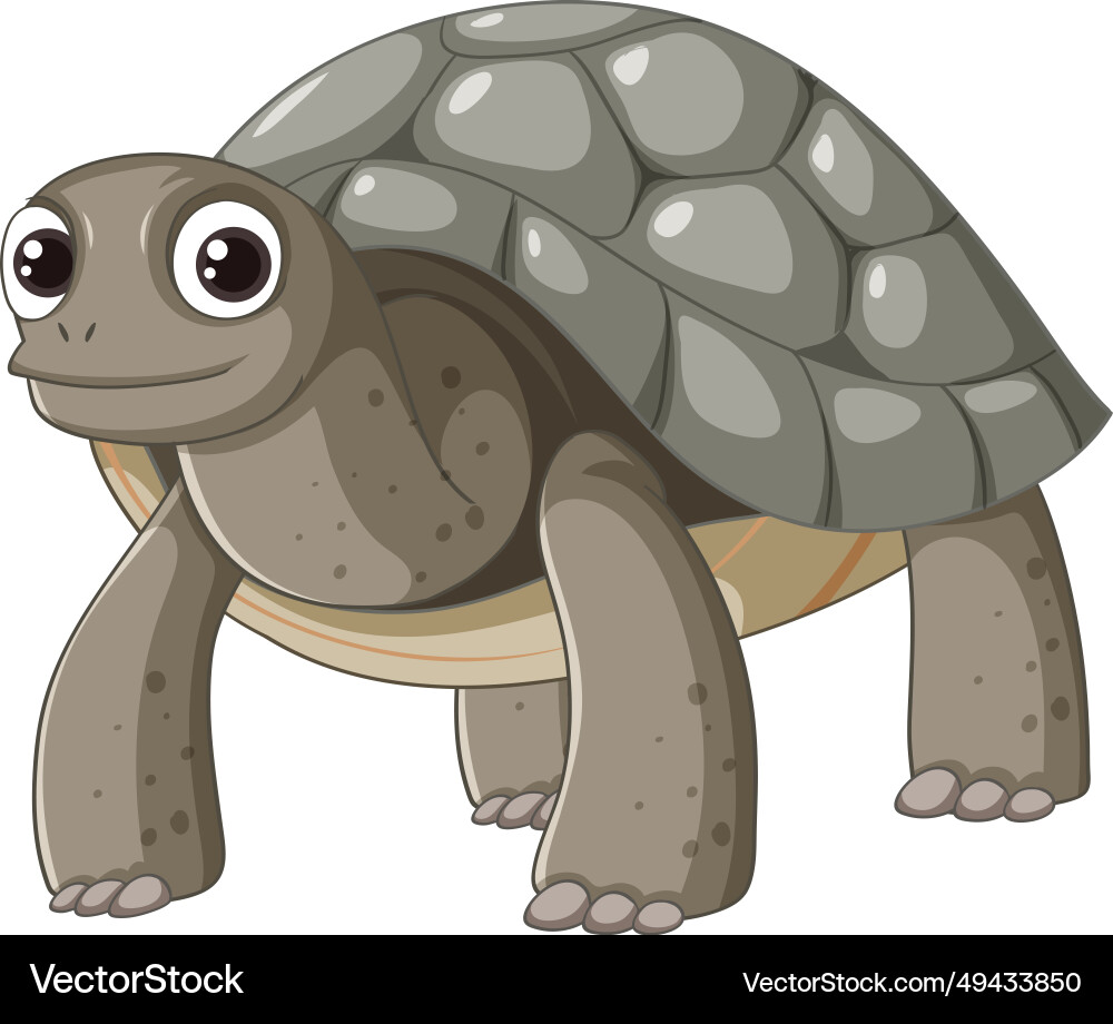 Cheerful turtle cartoon character standing Vector Image