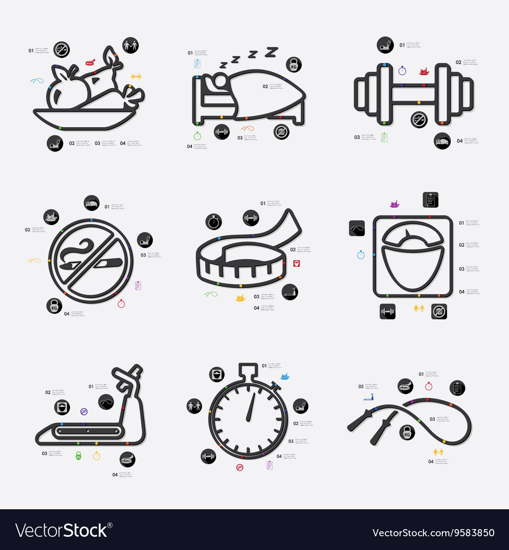 Diet infographic Royalty Free Vector Image - VectorStock