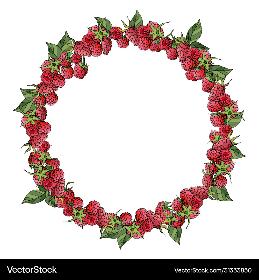 Round garland with raspberries Royalty Free Vector Image