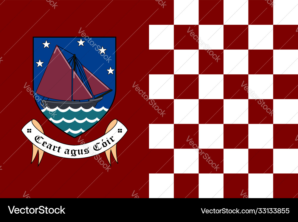 Flag county galway in ireland Royalty Free Vector Image