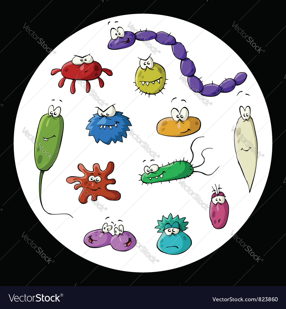 Bacteria Royalty Free Vector Image - VectorStock Bacteria Royalty Free Vector Image - VectorStock