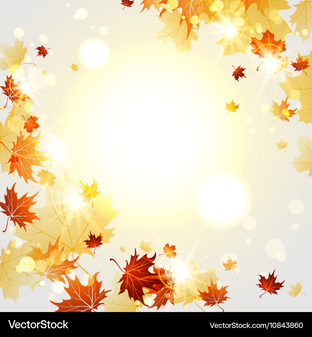 Bright autumn background with maple leaves Vector Image