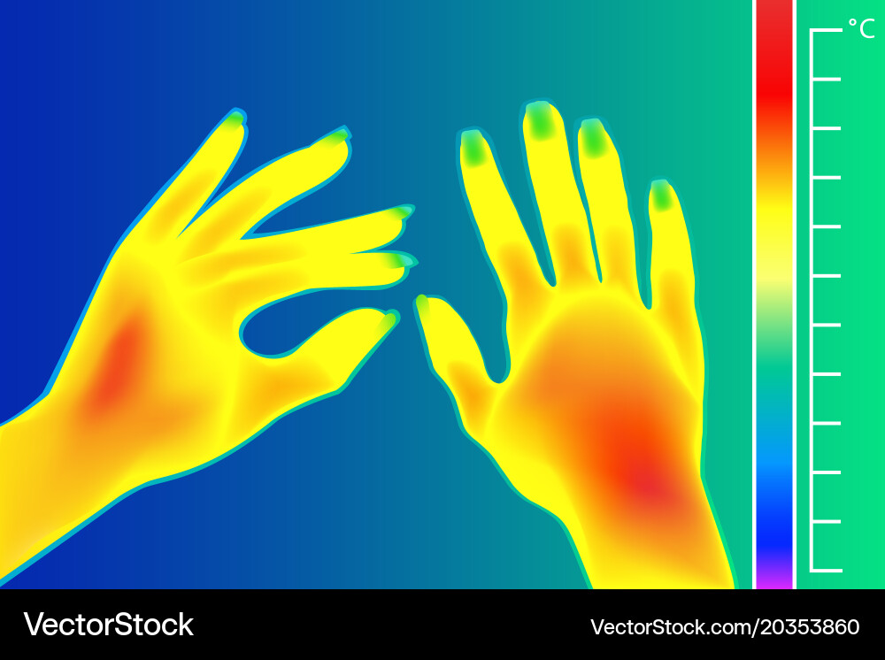 Thermal imager human hands image arms Royalty Free Vector