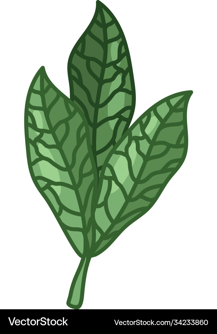 Three leaves line and fill style icon Royalty Free Vector