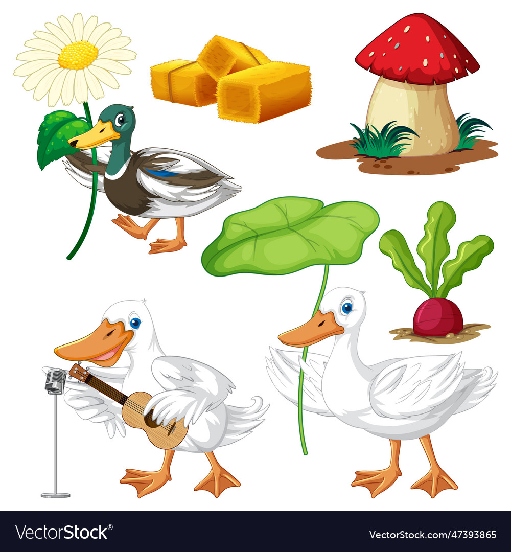 Farm objects and elements set Royalty Free Vector Image