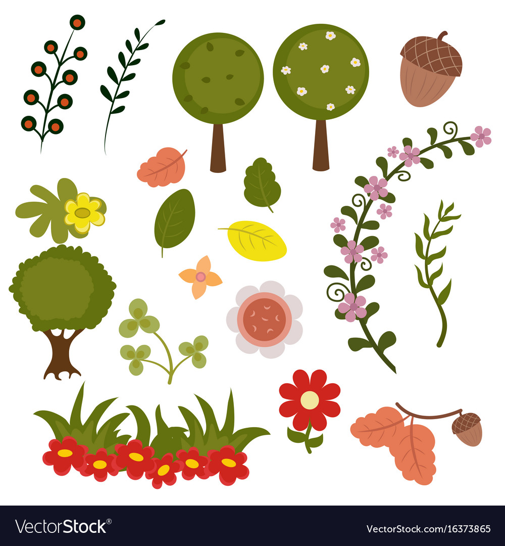Forest elements Royalty Free Vector Image - VectorStock