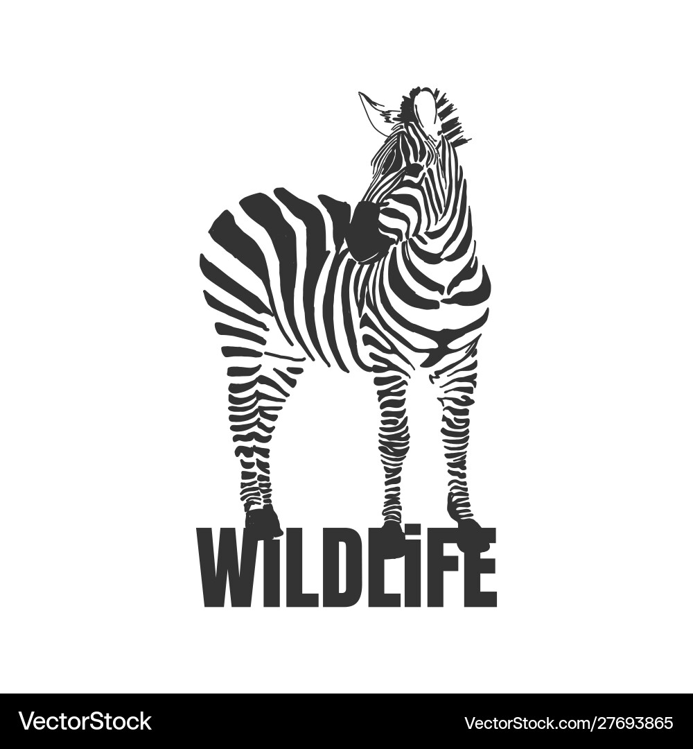 Hand drawn zebra with wildlife text isolated Vector Image