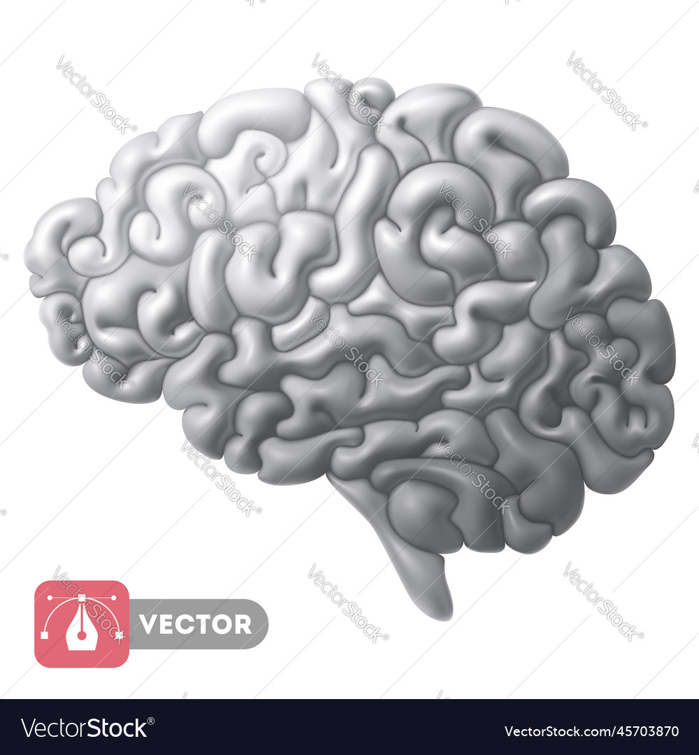 Brain 3d icon Royalty Free Vector Image - VectorStock