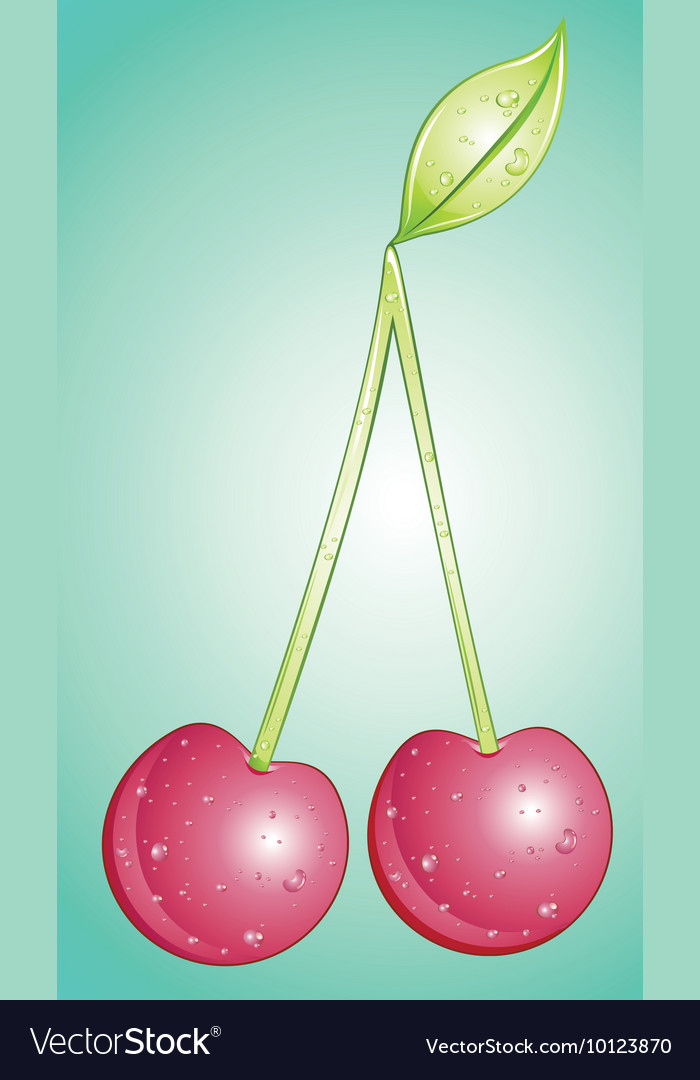 Cherries Royalty Free Vector Image - VectorStock