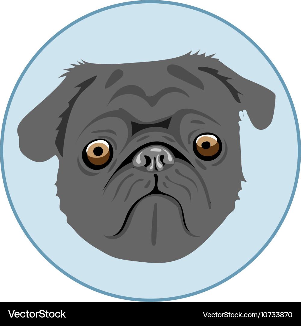 Digital pug dog face in blue circle Royalty Free Vector