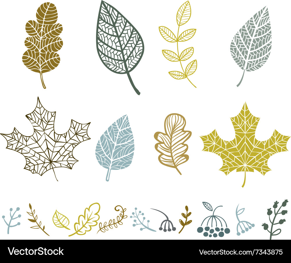 Collection of leaves Royalty Free Vector Image