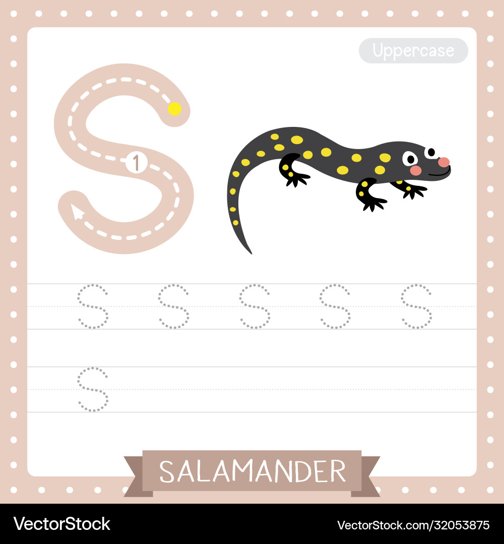 Letter s uppercase tracing practice worksheet of Vector Image