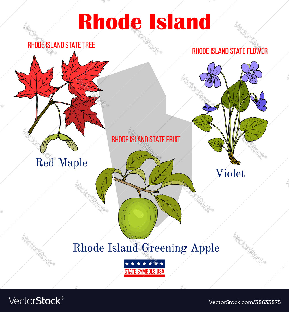 Rhode island set usa official state symbols Vector Image