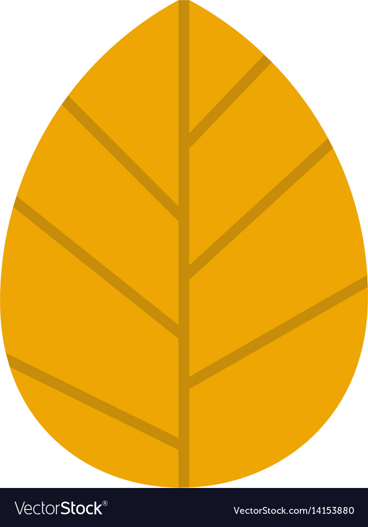 Autumn leaf Royalty Free Vector Image - VectorStock
