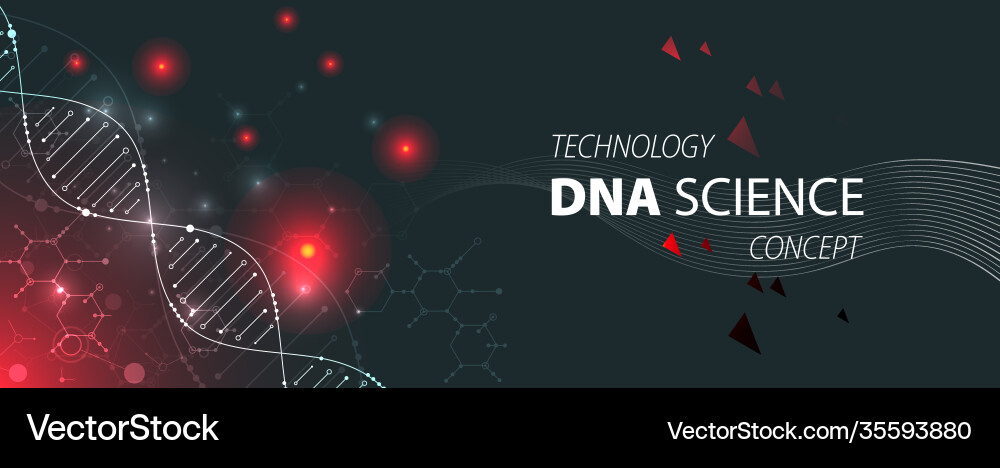 Science template wallpaper or banner with a dna Vector Image