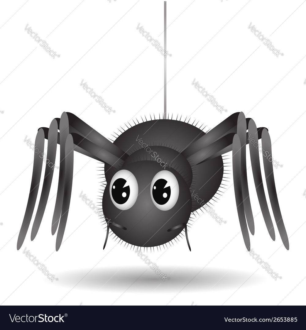 Spider Royalty Free Vector Image - VectorStock
