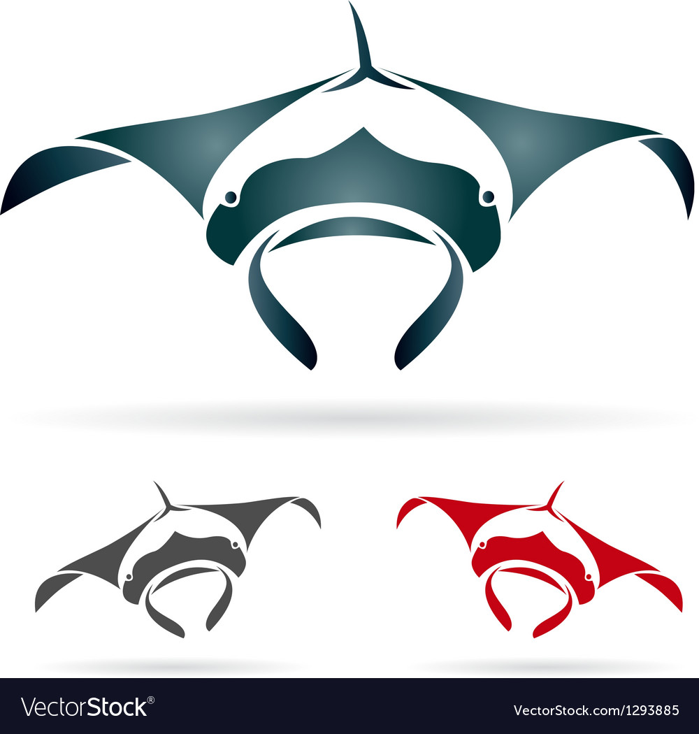 Stingray Royalty Free Vector Image - VectorStock