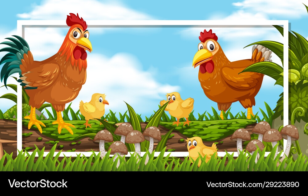 Frame design with rooster and little chicks Vector Image