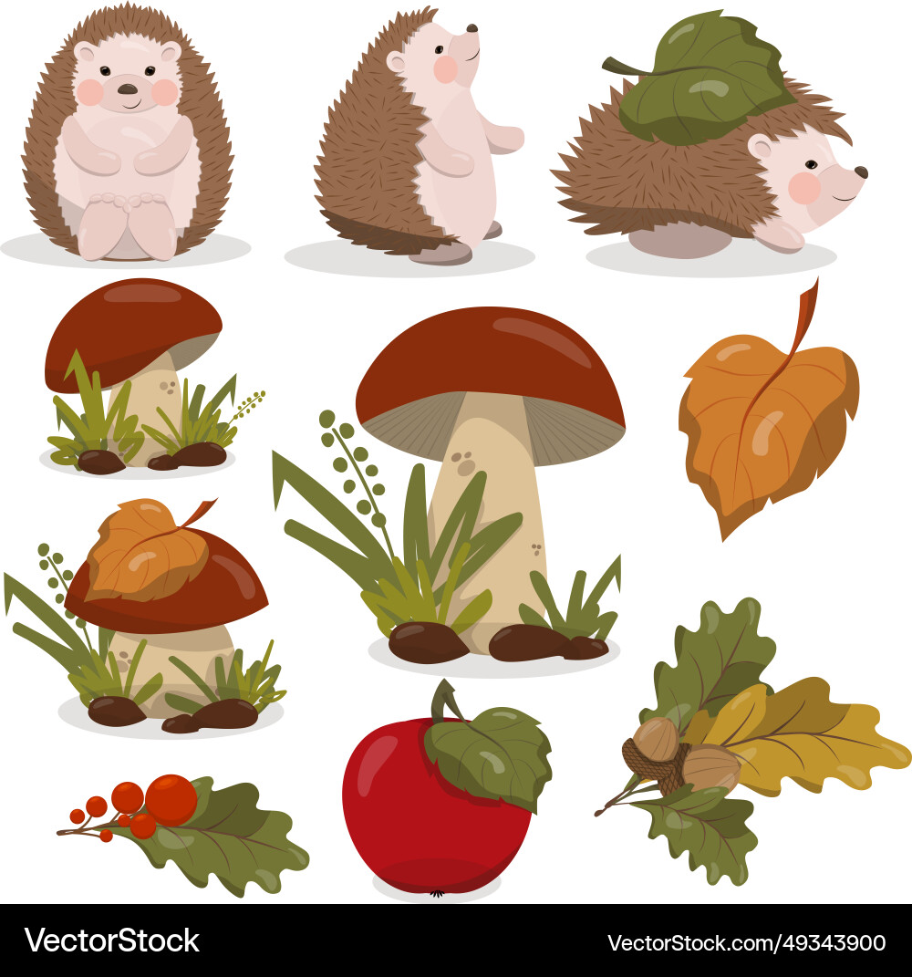 Set with funny curious hedgehogs a red apple Vector Image