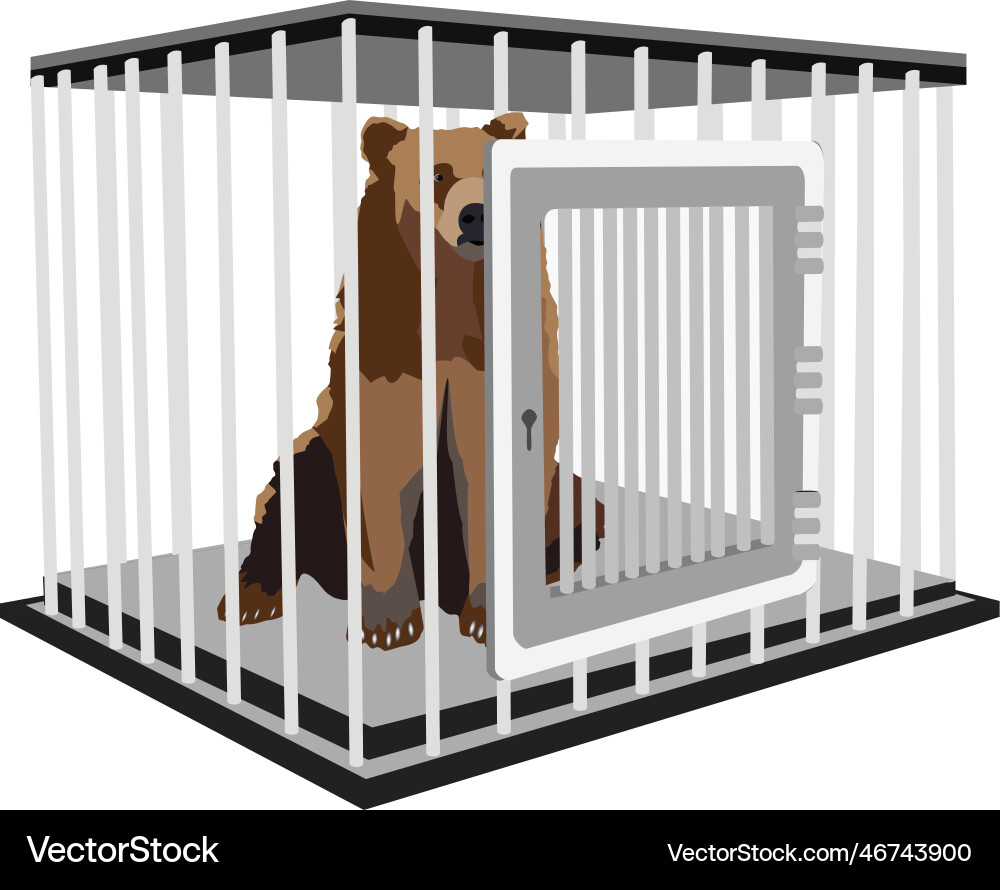 Wild animal brown bear in cage Royalty Free Vector Image