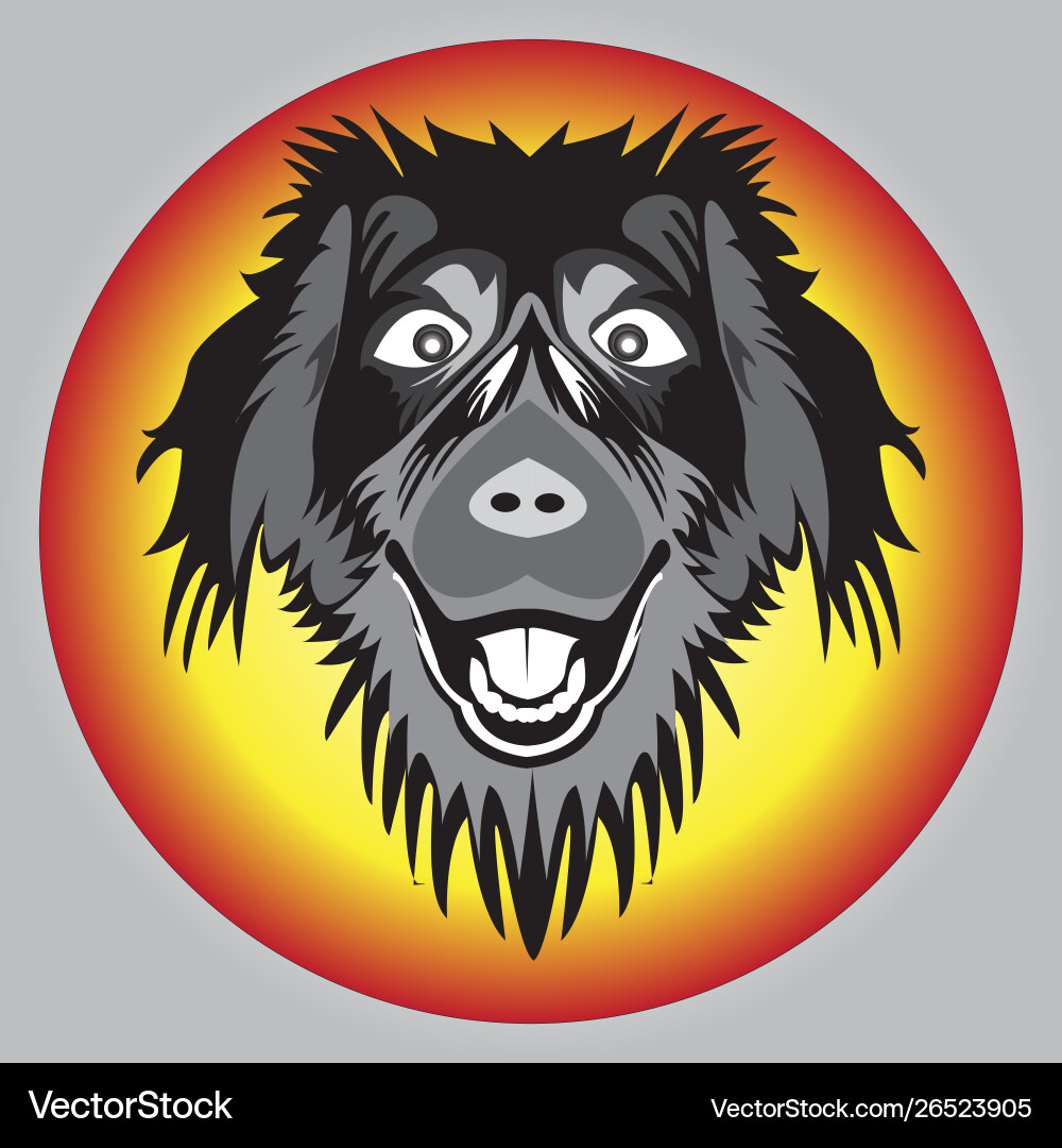 Dog face design on a white background animal Vector Image
