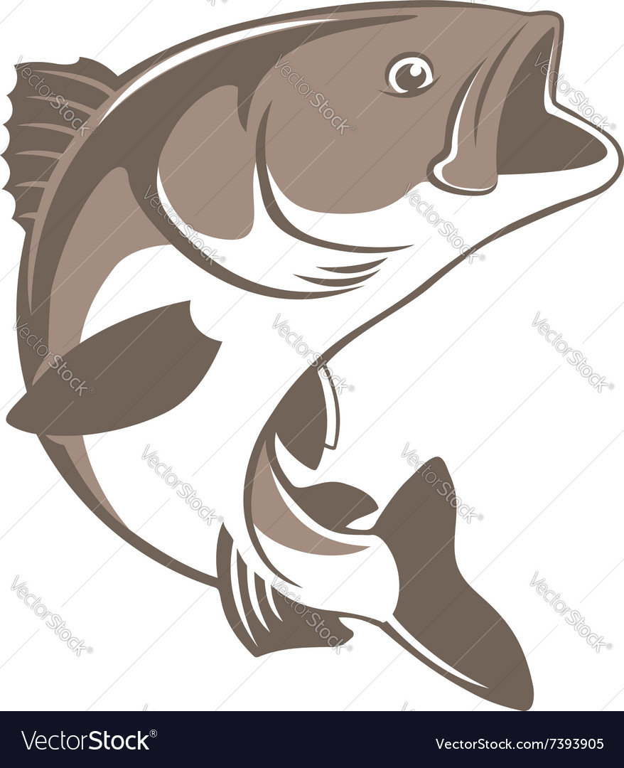Fish perch Royalty Free Vector Image - VectorStock