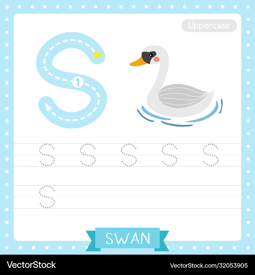 Letter s uppercase tracing practice worksheet of Vector Image