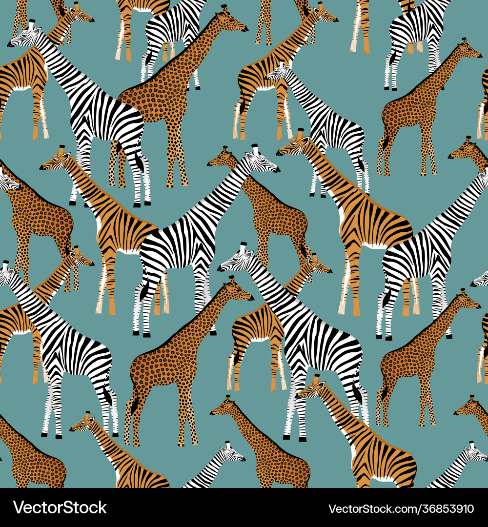 Blue background with giraffes who want Royalty Free Vector