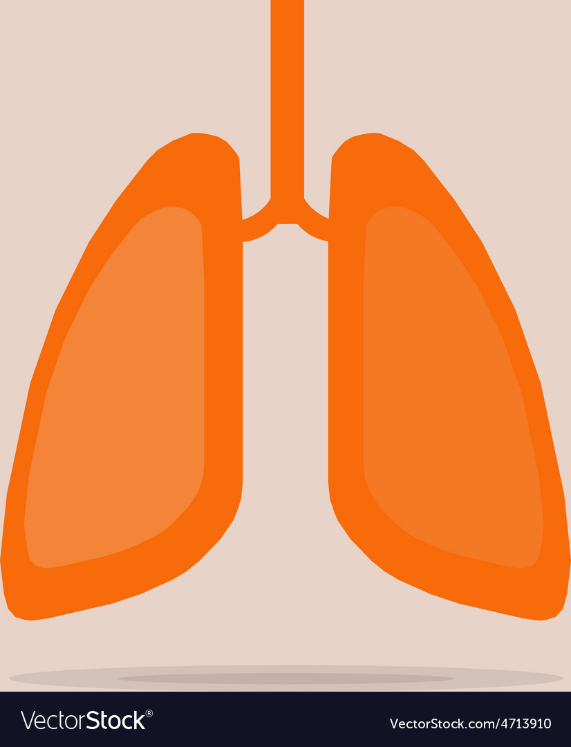 Lung Royalty Free Vector Image - VectorStock