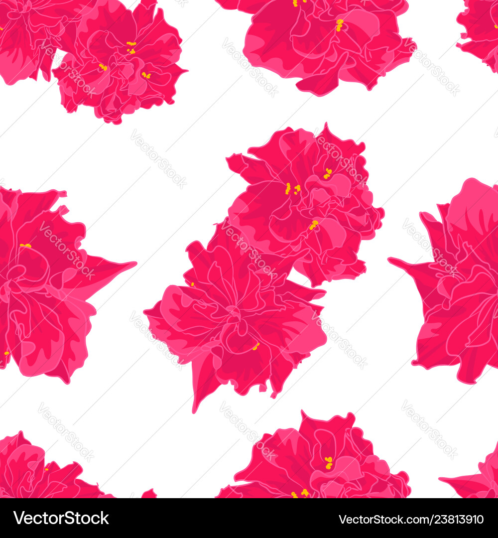 Pattern of pink flower on white background Vector Image