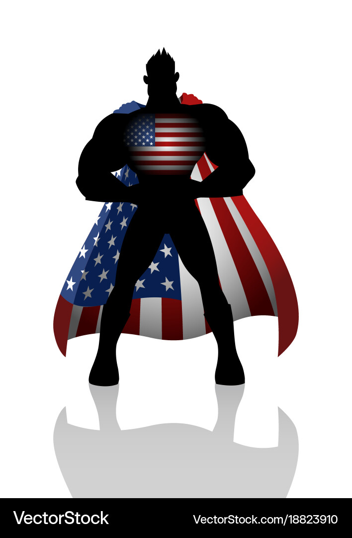 Superhero with usa insignia Royalty Free Vector Image