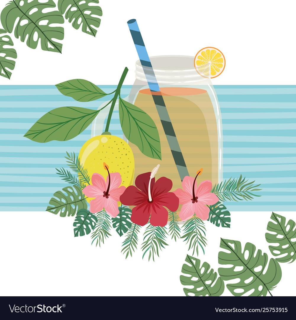 Pattern refreshing drink for summer Royalty Free Vector